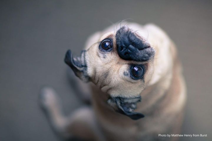 Understanding Pap Smear Results - What They Really Mean - Dr. Kate White