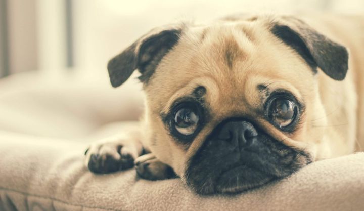 I Have an Abnormal Pap Test - What Happens Now? - Dr. Kate White